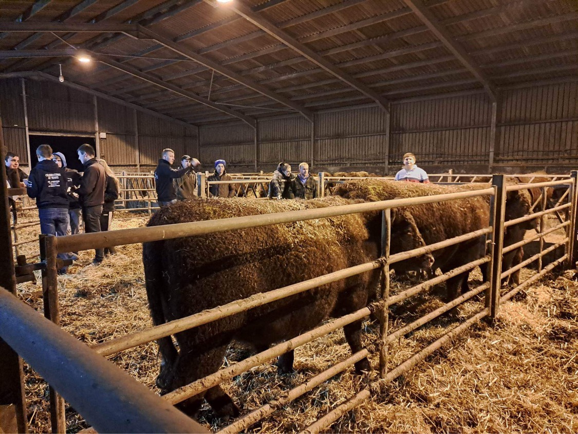 🐂 Beef Stock Judging – November 2022 🐂 – Tavistock YFC